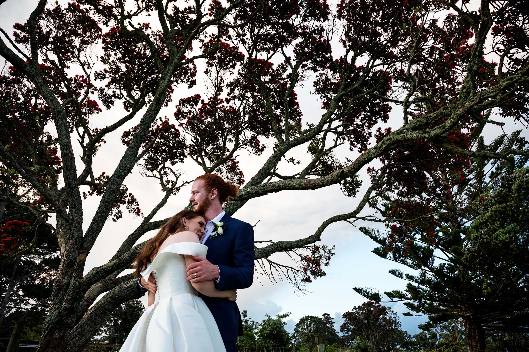 Natalie & Nick - Sandra Henderson Photographer